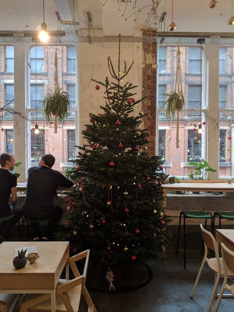 Real Christmas Trees Delivered Manchester | FREE Delivery – Christmas ...