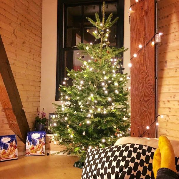 Real Christmas Trees Delivered Manchester | FREE Delivery – Christmas ...