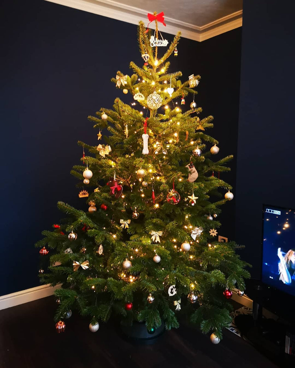 Real Christmas Trees Delivered Manchester | FREE Delivery – Christmas ...