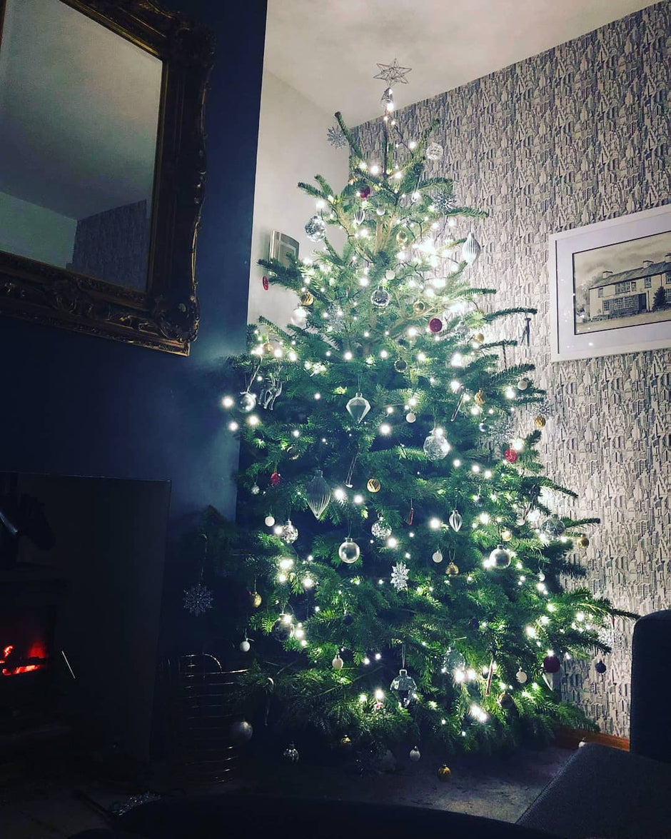 Real Christmas Trees Delivered Manchester | FREE Delivery – Christmas ...